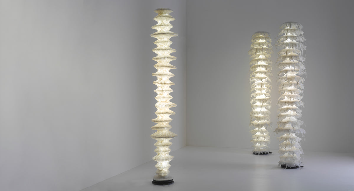 Apaya Family – Aqua Creations Studio