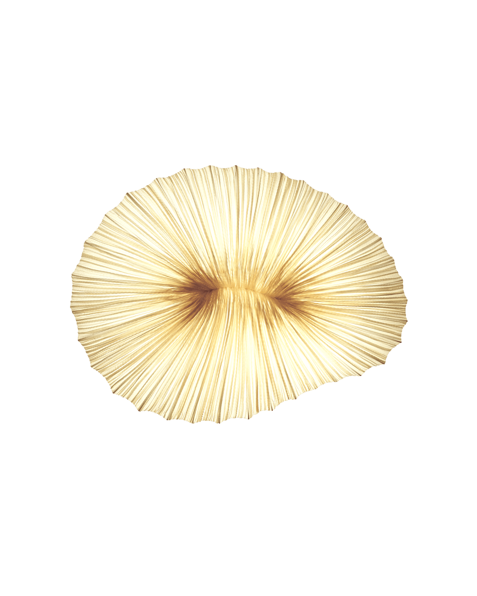 Coral Wall and Ceiling Light by Aqua Creations – Aqua Creations Studio
