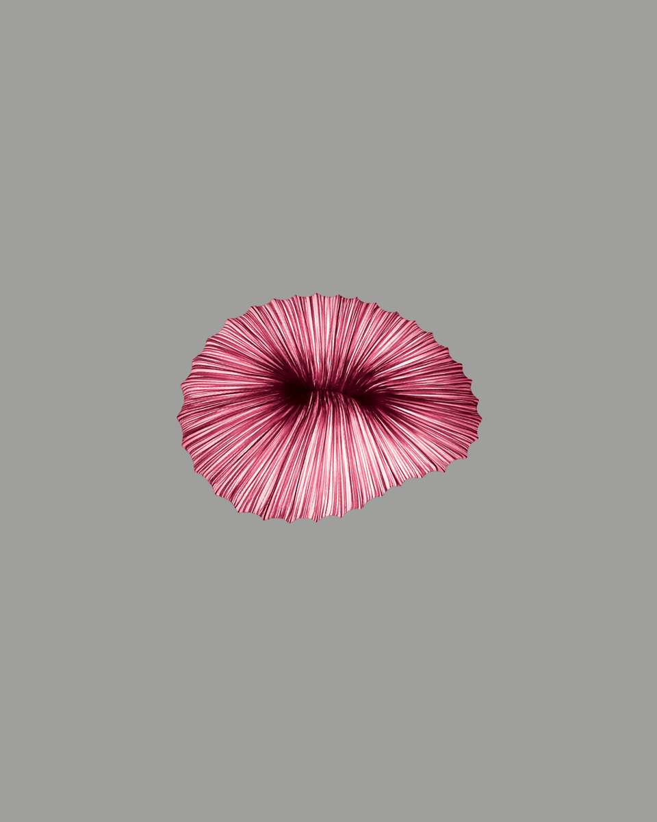 Baby Coral Wall and Ceiling Light by Aqua Creations | Light Becomes Art ...