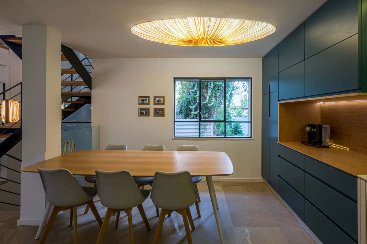 Liana Wall & Ceiling Light by Aqua Creations| Light Becomes Art | Aqua ...