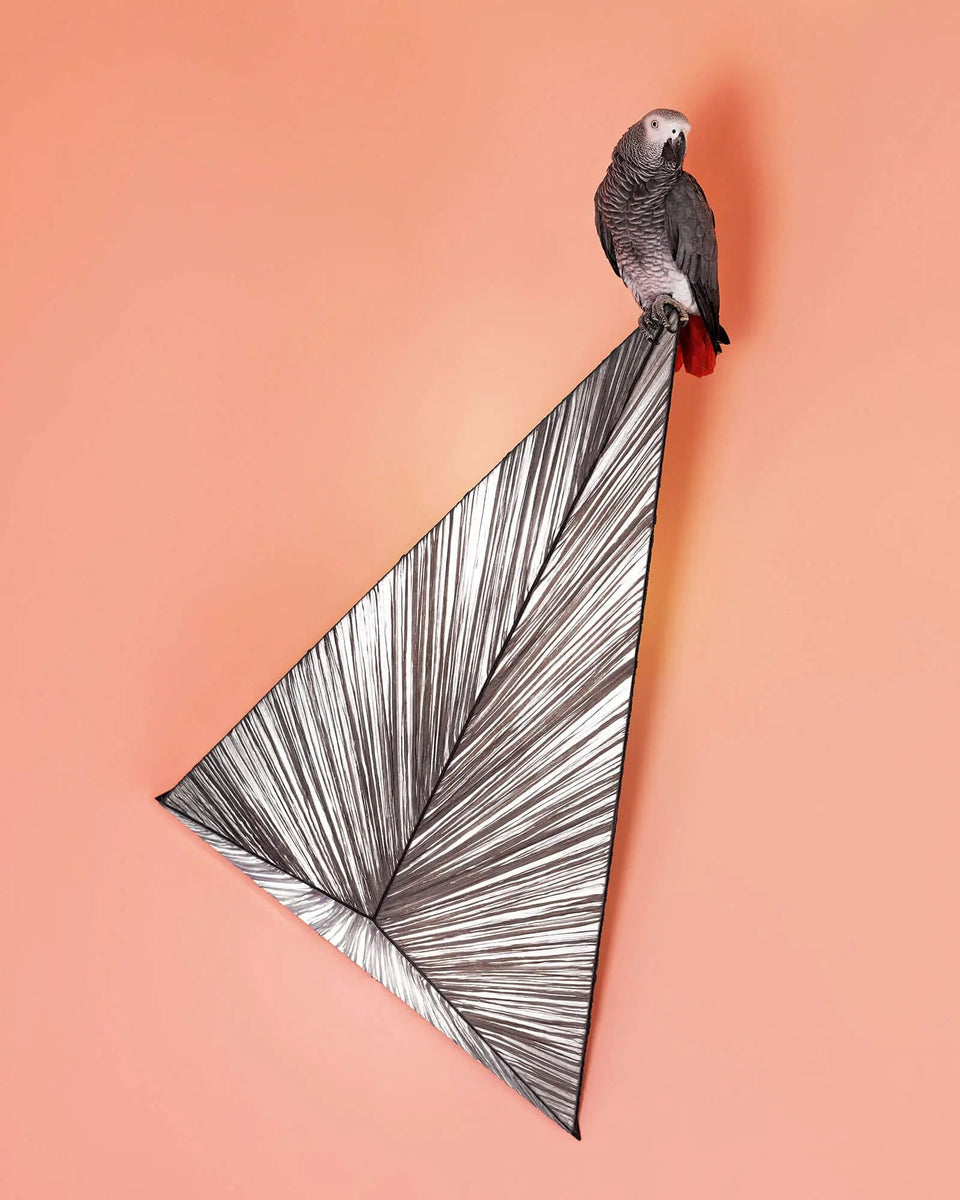 Zooid Wall & Ceiling Light – Aqua Creations Studio